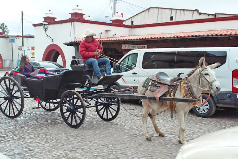 The Magical Pueblo of Magdalena de Kino, Sonora - Ambos Tours!